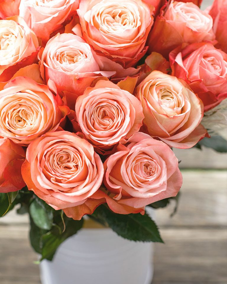 Кахала | Kahala - Rosas del Corazón