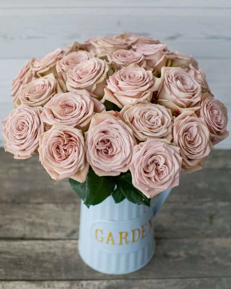 Мокка | Mocca - Rosas del Corazón