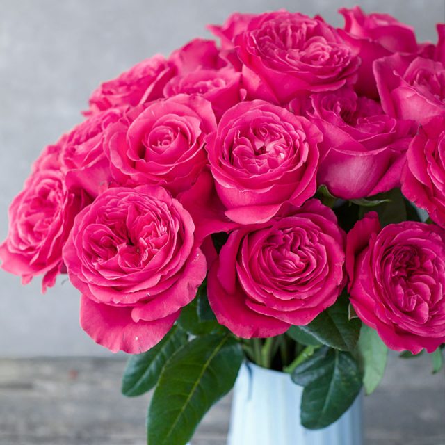 Garden Like Roses Archives - Rosas del Corazón