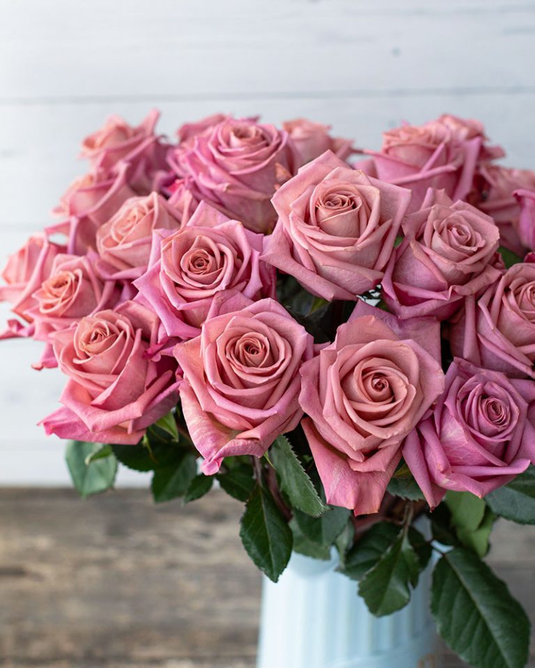 Бариста | Barista - Rosas del Corazón