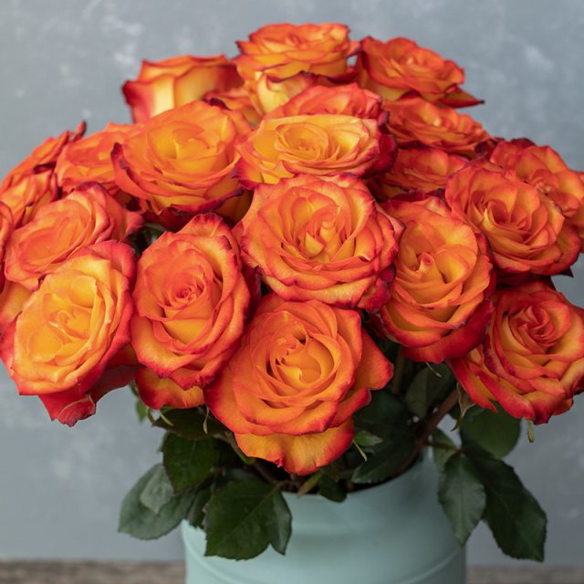 Premium Roses Archives - Page 2 of 3 - Rosas del Corazón