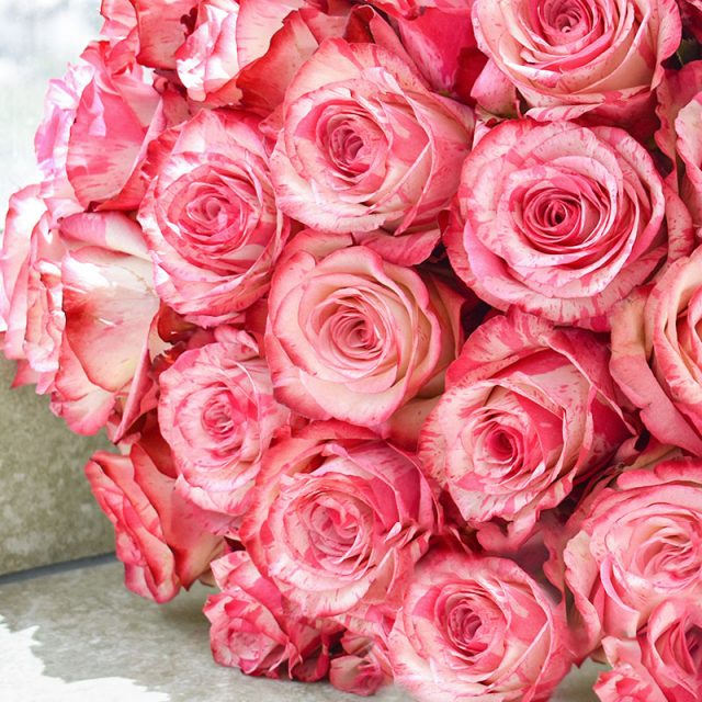 Premium Roses Archives - Page 2 of 2 - Rosas del Corazón