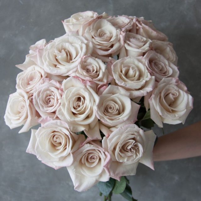 Premium Roses Archives - Rosas del Corazón