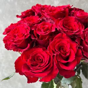 What is the difference between: garden roses, premium roses and spray ...