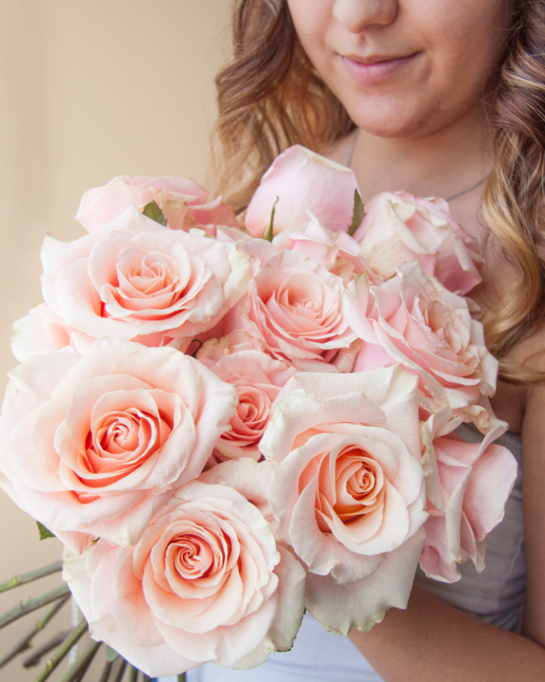 Феникс | Phoenix - Rosas del Corazón