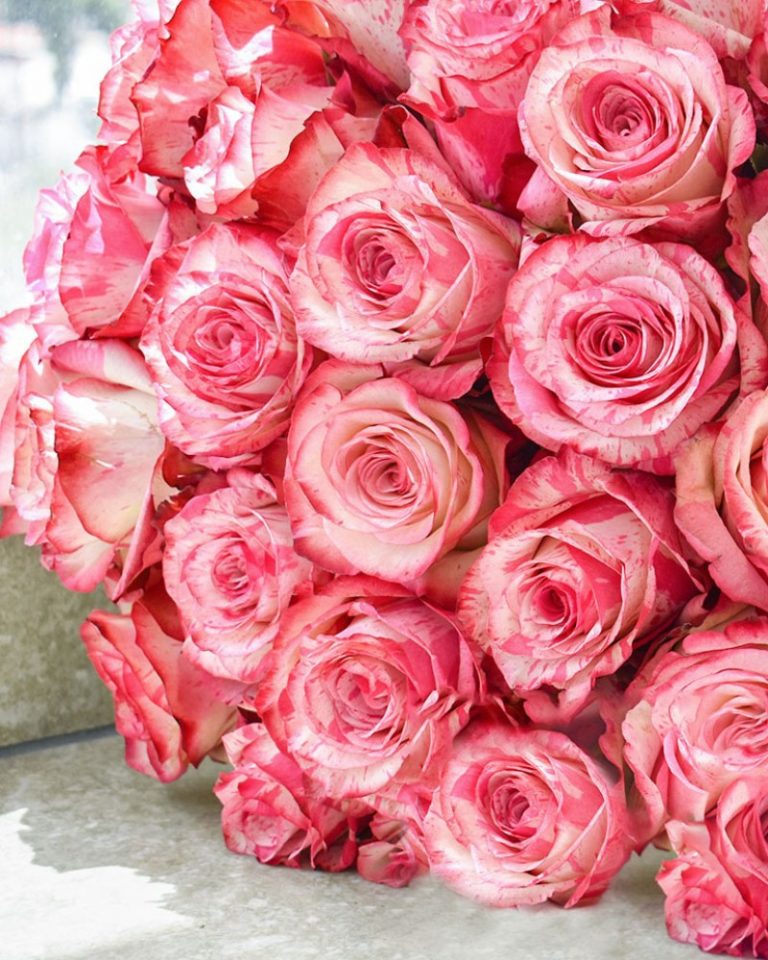 Мэджик Таймс | Magic Times - Rosas del Corazón